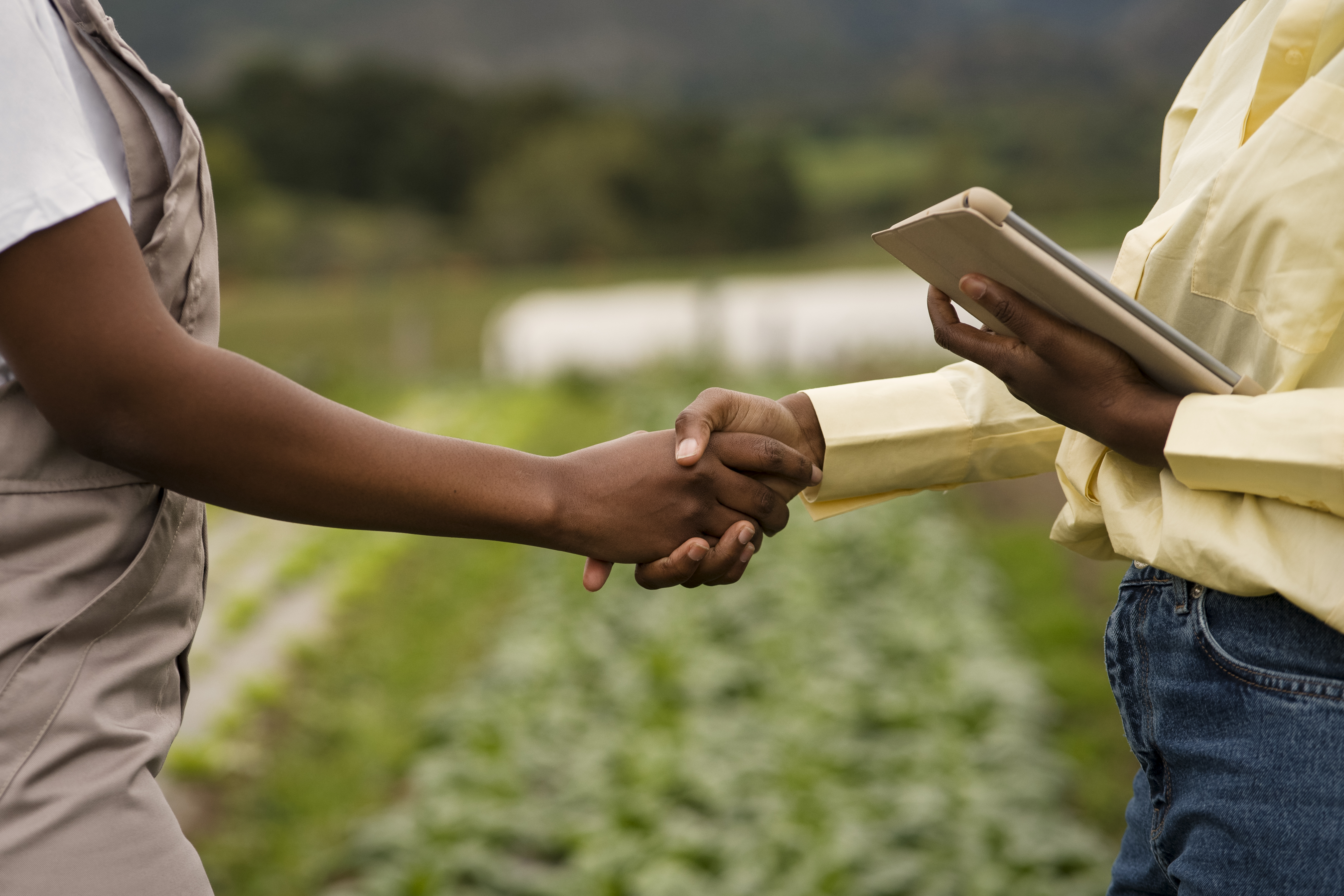 VERDURE - Innovating Agriculture